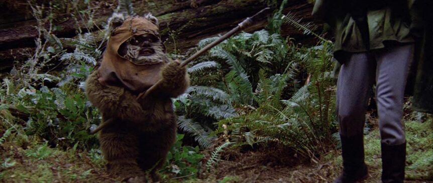 Ewoks - Rebel Legion