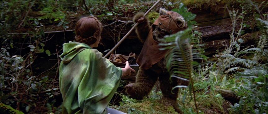 Ewoks - Rebel Legion